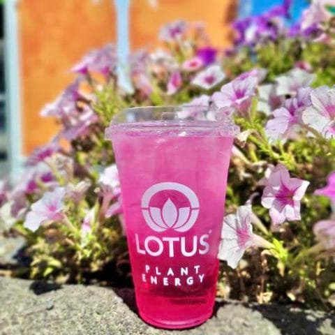 Spring Lotus Energy Drinks - Fika Cup